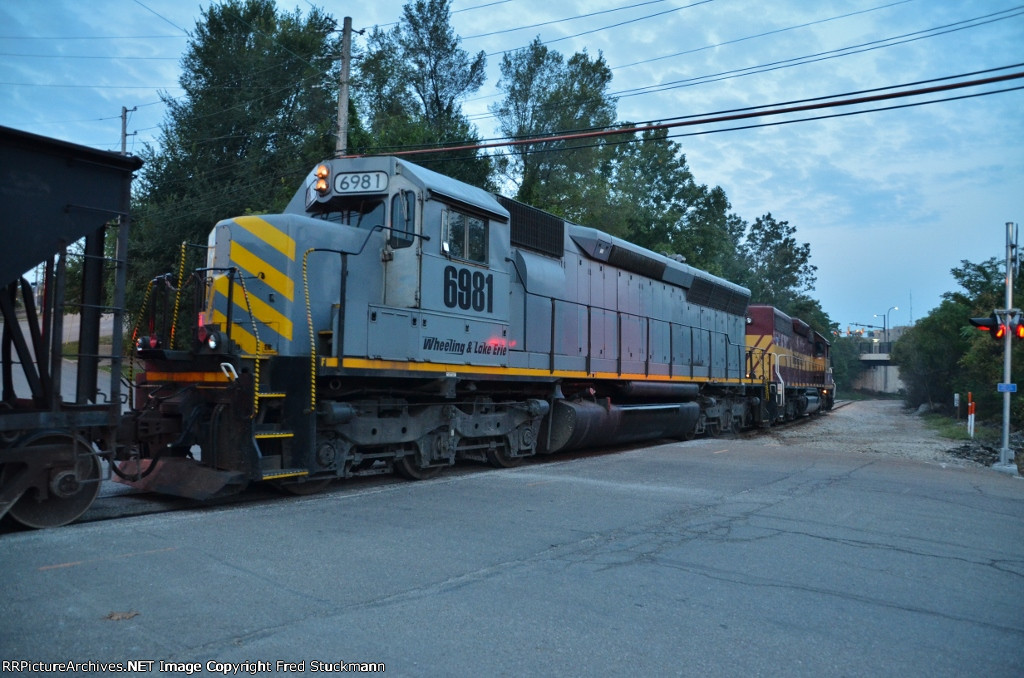 WE 6981